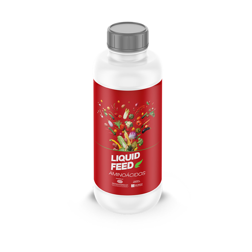 Nuestros Productos – El Salvador