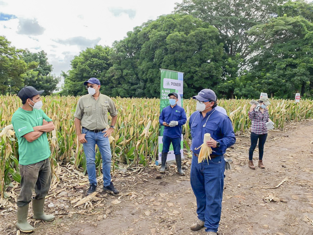 Promoción – Duwest