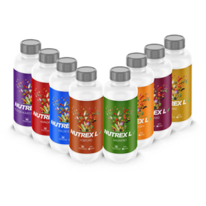 Nutrex L – Duwest